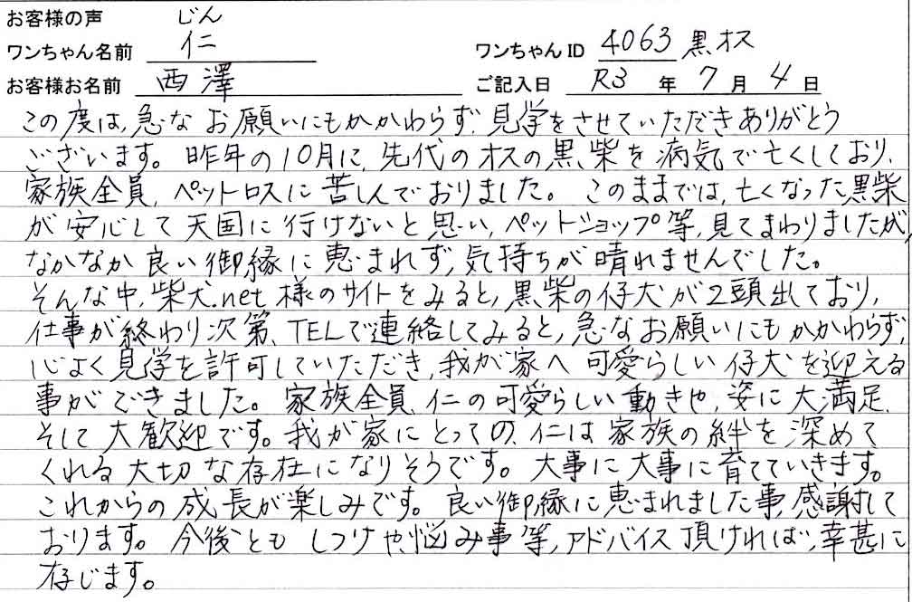 2021年7月4日 西澤様 仁君ID4063 | 【柴犬.net】柴犬専門ブリーダー・犬舎の子犬販売